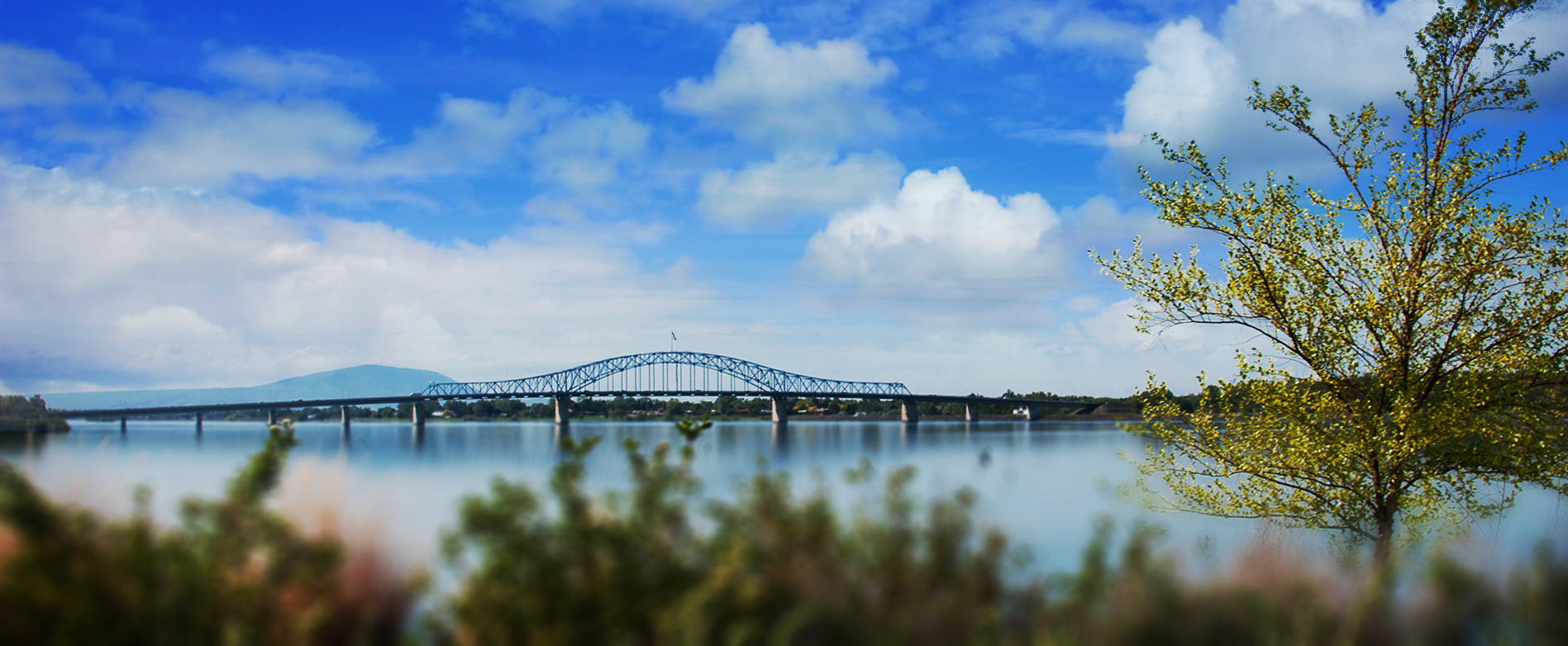 Explore the Brighter, Louder, Bolder Tri-Cities - TRIDEC